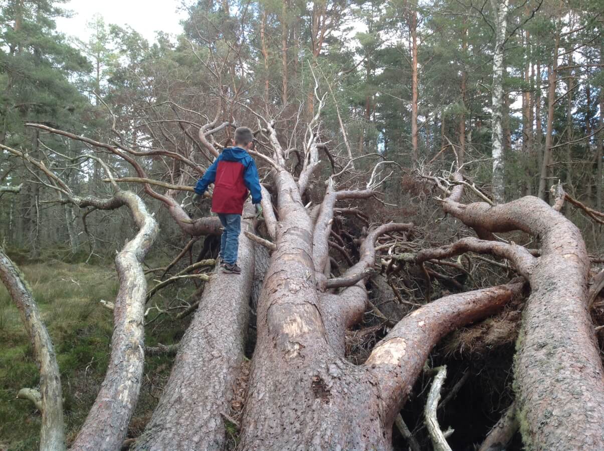 8 tips to help when you plan to go hiking with kids for longer than an hour