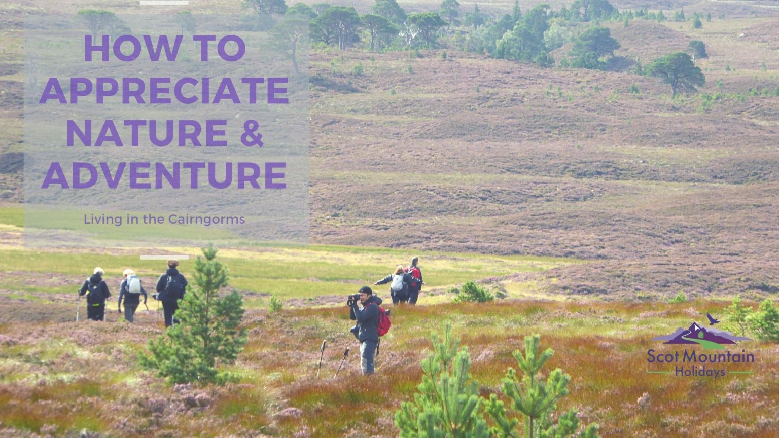 How to appreciate nature while living in the Cairngorms