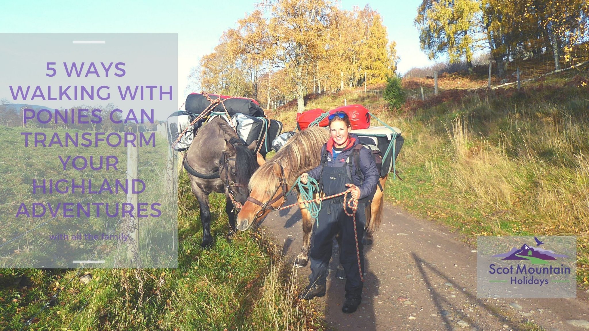 Highland Adventures in the Cairngorms - walking with ponies