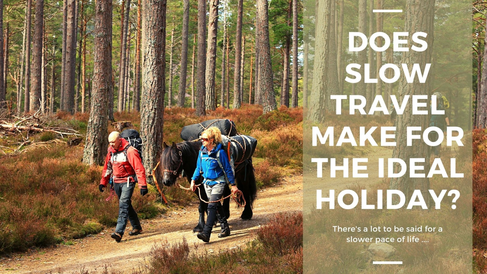 Slow travel in Scotland: is this the ideal holiday for you?