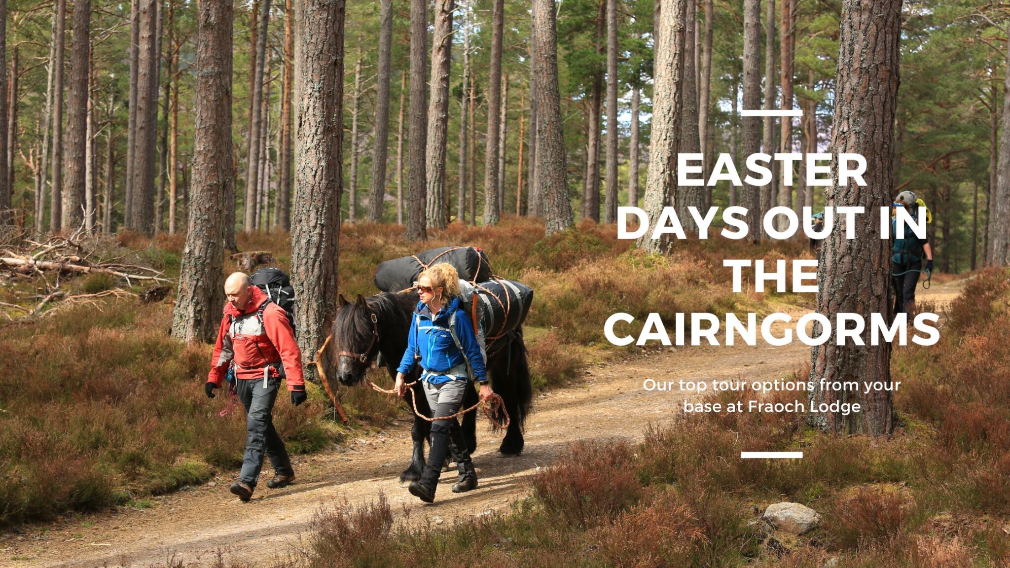 10 Easter days out in the Cairngorms - Scot Mountain Holidays