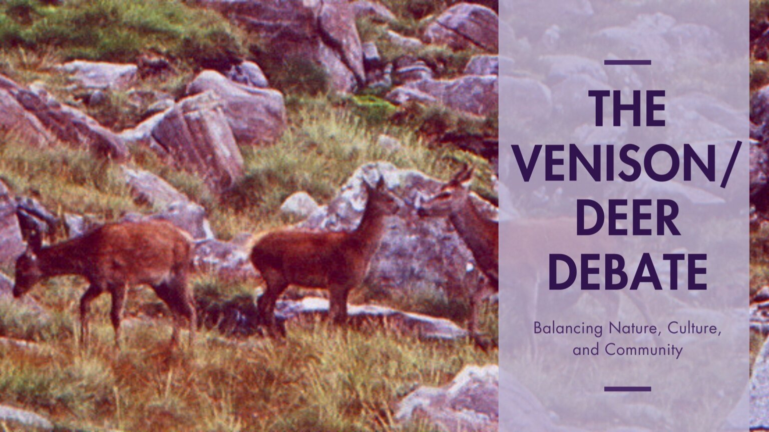 the venison debate
